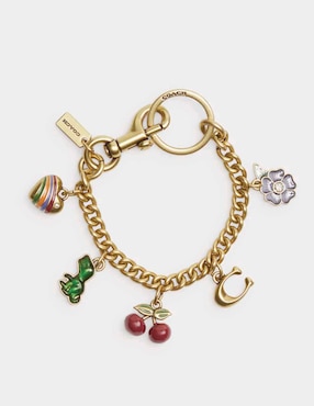 Complemento de bolsa Coach de acero